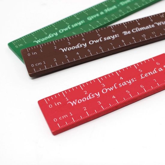 National Symbols Cache. Woodsy Owl 12" Wood Rulers